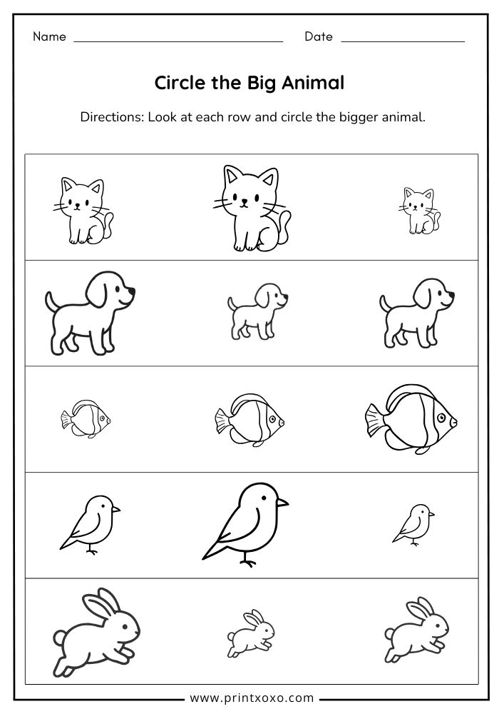 Big and Small Worksheets – Free Printable PDF for Preschool & Kindergarten