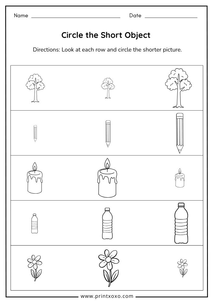 Tall and Short Worksheets – Free Printable PDF for Preschool & Kindergarten