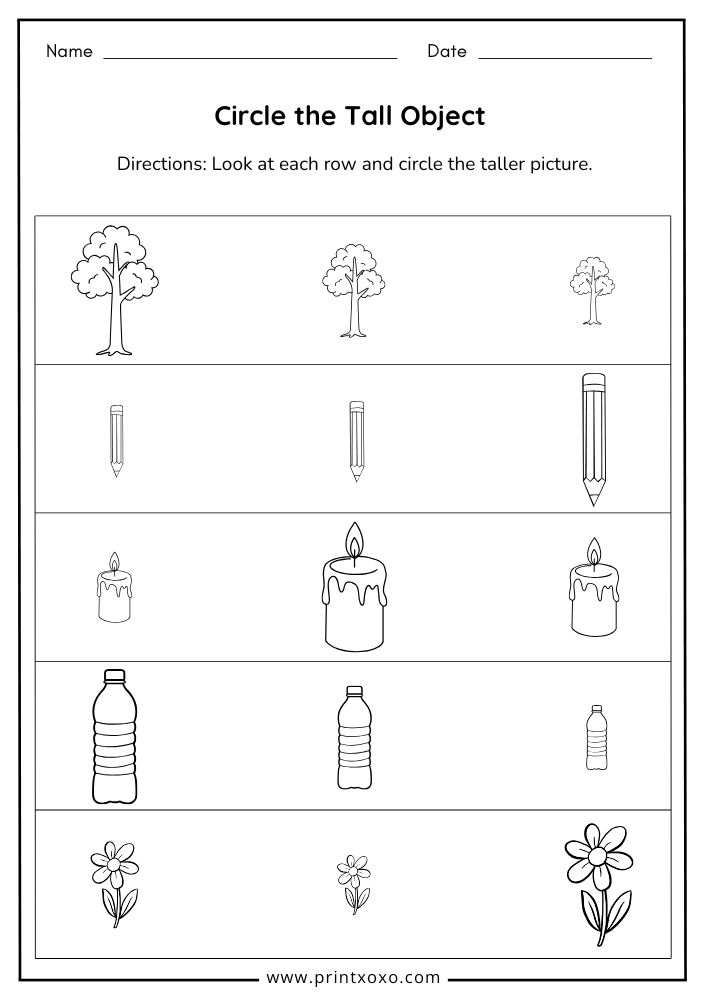 Tall and Short Worksheets – Free Printable PDF for Preschool & Kindergarten