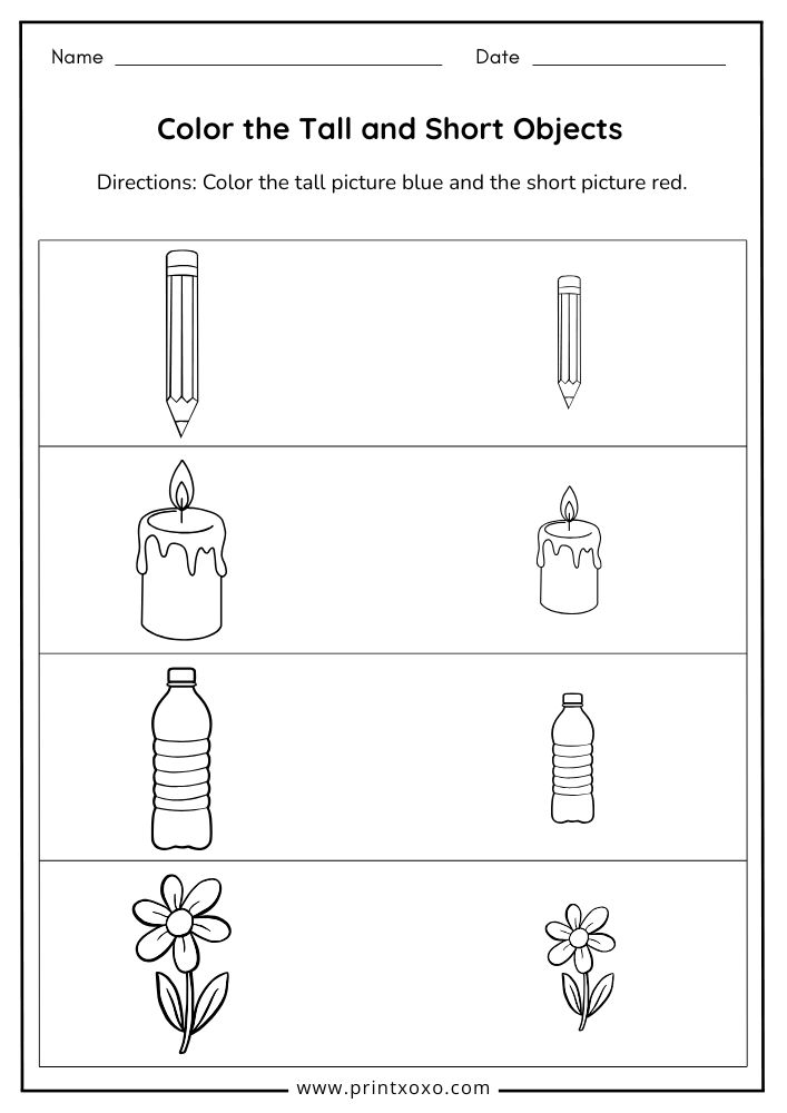 Tall and Short Worksheets – Free Printable PDF for Preschool & Kindergarten
