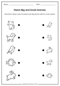 Big and Small Worksheets – Free Printable PDF for Preschool & Kindergarten