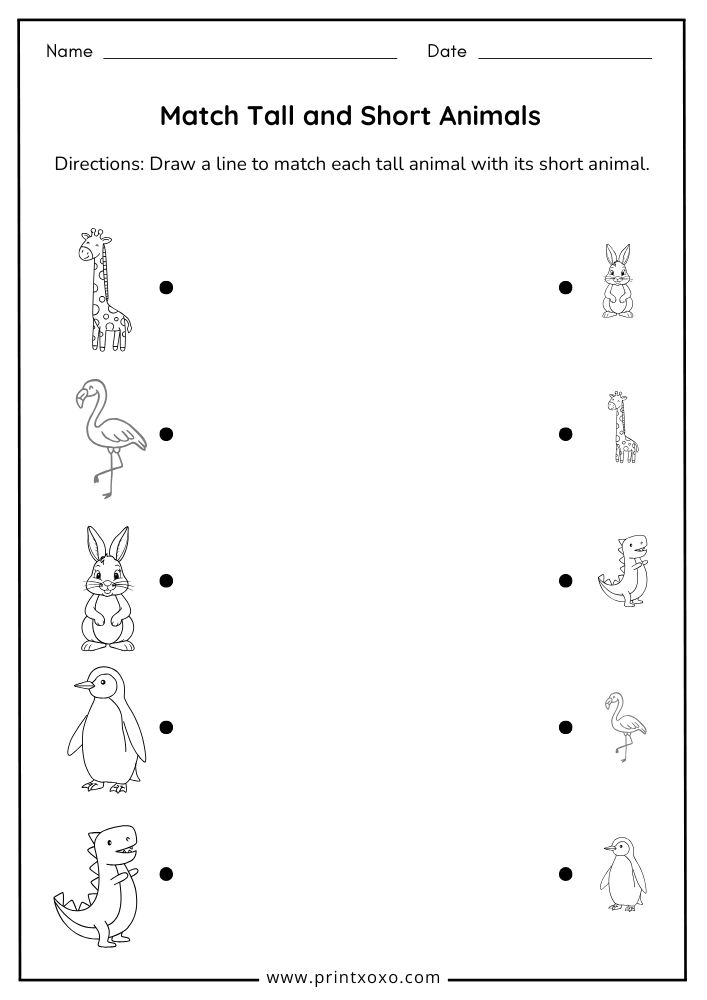 Tall and Short Worksheets – Free Printable PDF for Preschool & Kindergarten