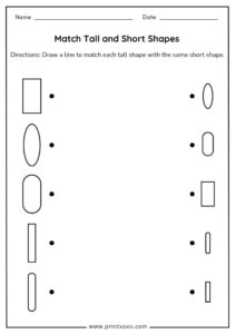 Tall and Short Worksheets – Free Printable PDF for Preschool & Kindergarten