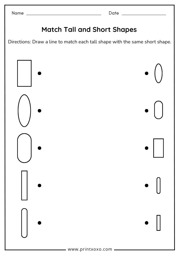 Tall and Short Worksheets – Free Printable PDF for Preschool & Kindergarten