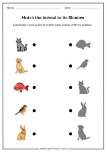 Shadow Matching Worksheets – Free Printable PDF for Preschool ...