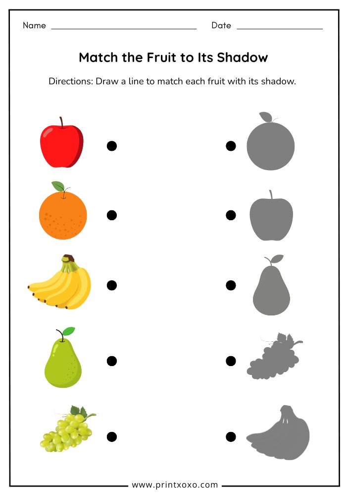 Shadow Matching Worksheets – Free Printable PDF for Preschool ...